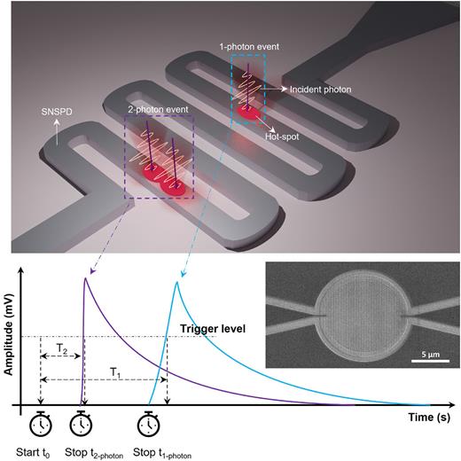 📢 Advancing Photon Number Resolving technology! - Single Quantum